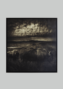 MICHAEL REGNIER | Buffalo Storm – McCroskey Interiors